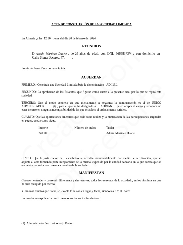 SSLL Acta Asamblea Constituyente | PDF