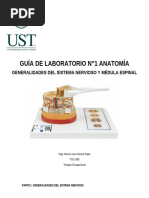 Acceso a Neuronup: Guía Rápida | PDF