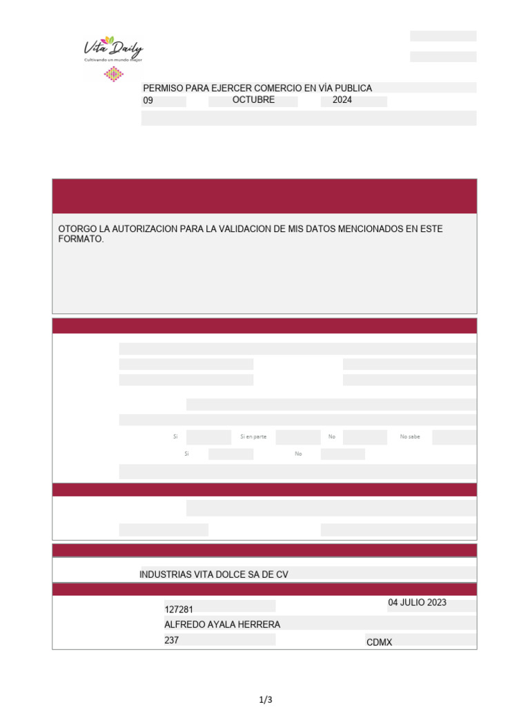 FORMATO editado | PDF