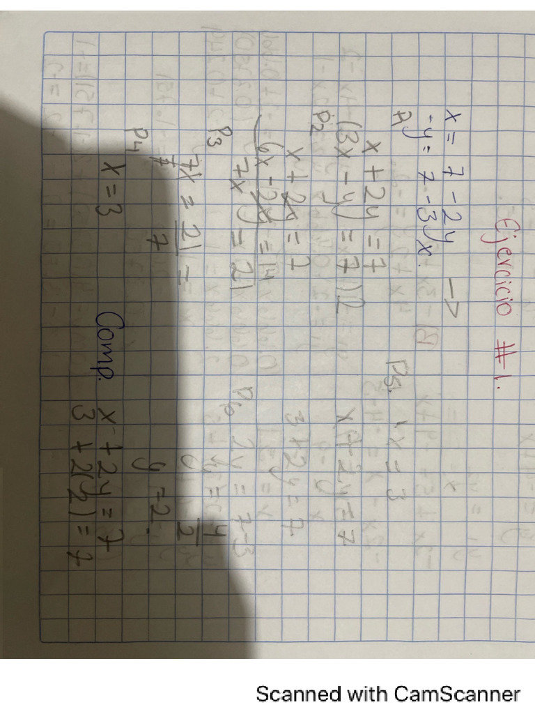 Fausto Ruiz Ejercicios de Sustitución | PDF