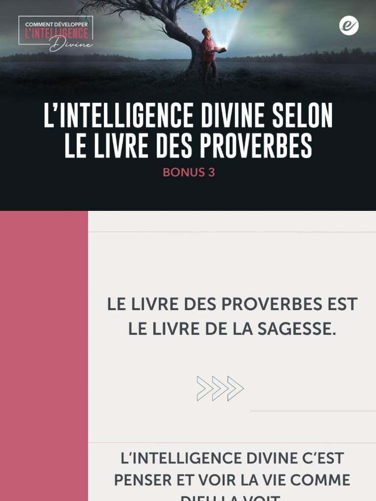 BONUS 3 - L'Intelligence Divine Selon Le Livre Des Proverbes | PDF