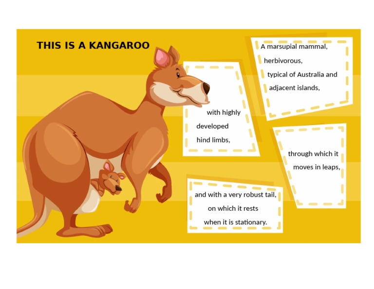 This is a Kangaroo | PDF