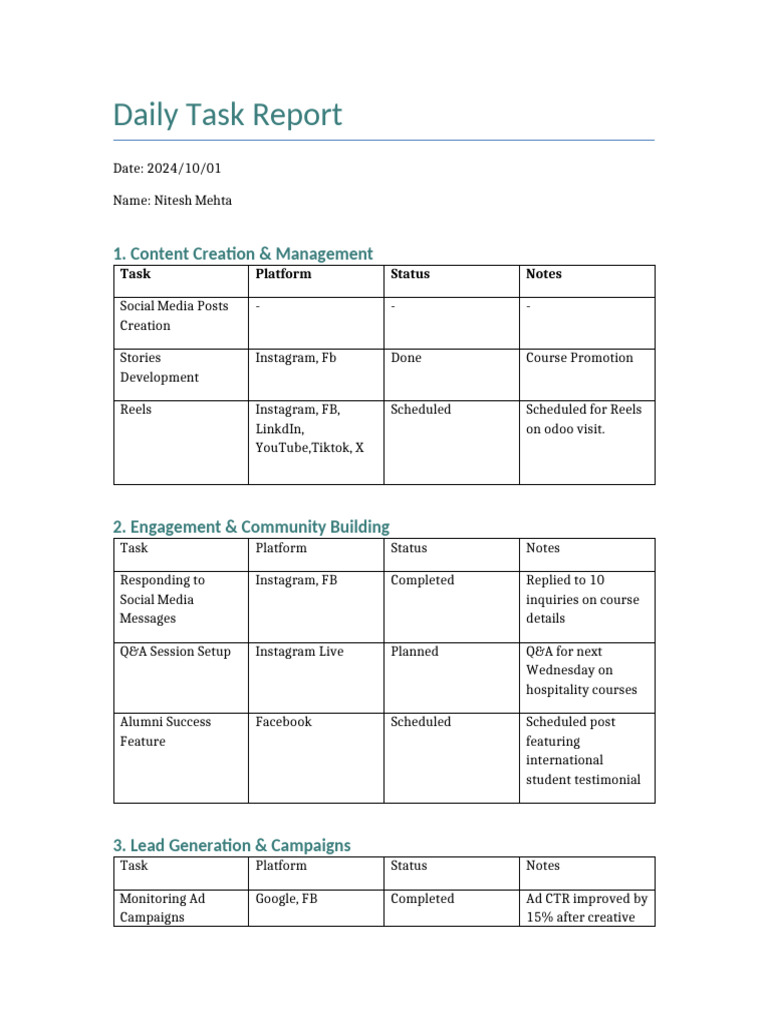 Daily Report Templete | PDF
