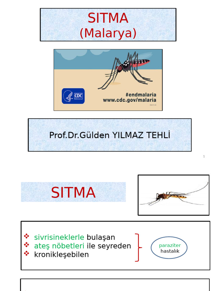 Sitma Gyt | PDF