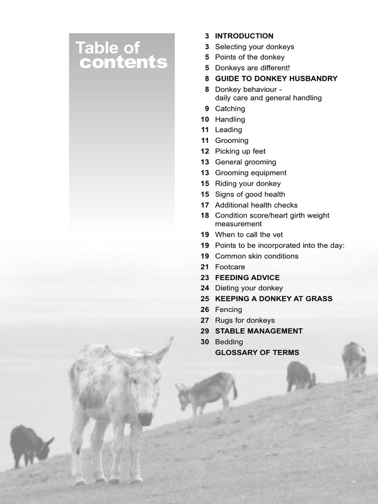 A Guide To Donkey Care | PDF