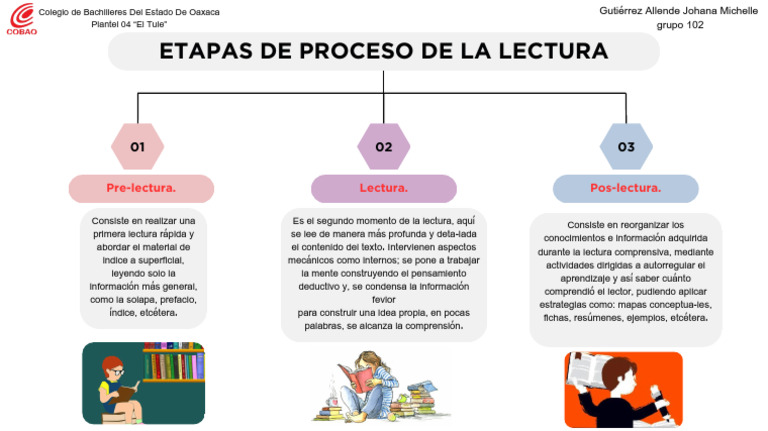 Etapas Del Proceso de Lectura | PDF