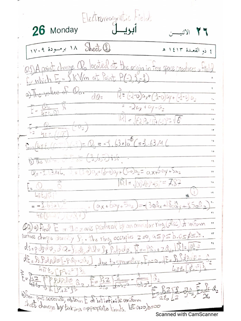 Assignment 1 Fields | PDF