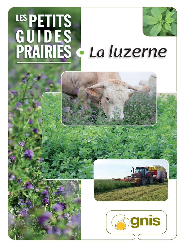 Gnis D1076 Guide Prairies Luzerne | PDF