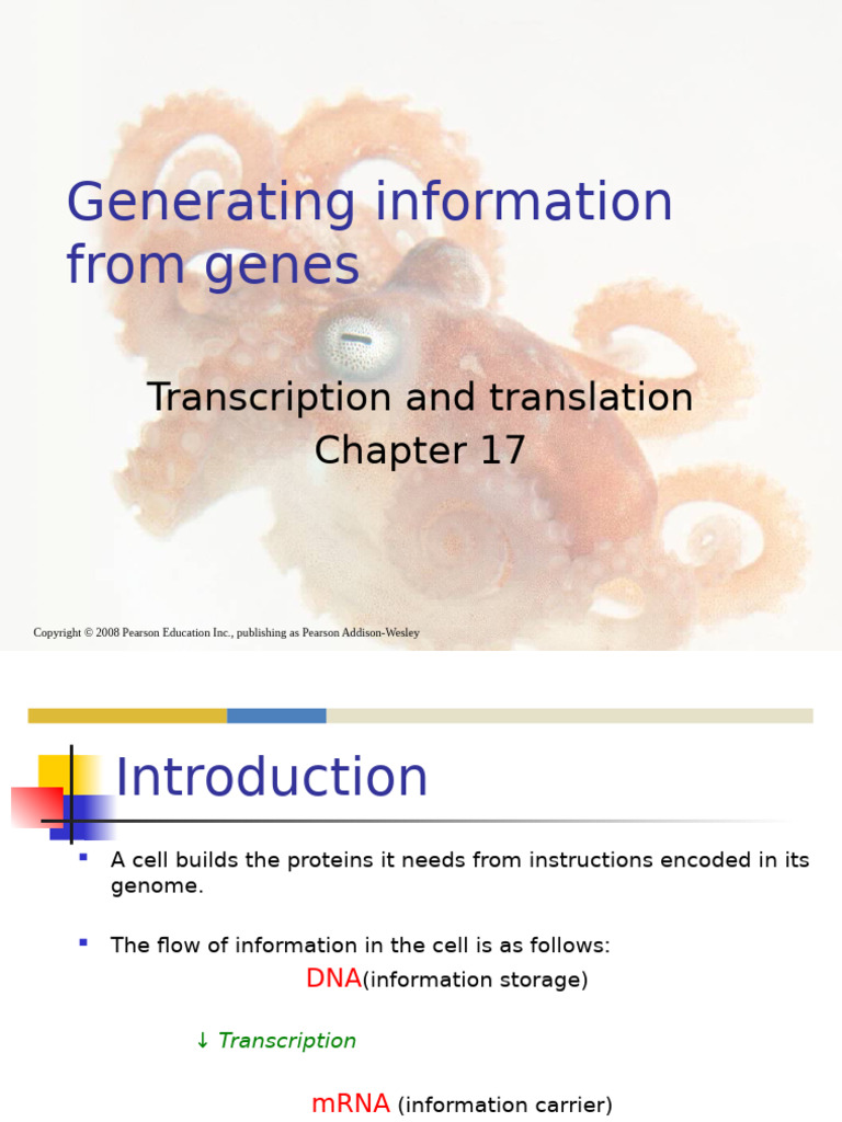 2024-Chapter17-Transcription and Translation-Students | PDF