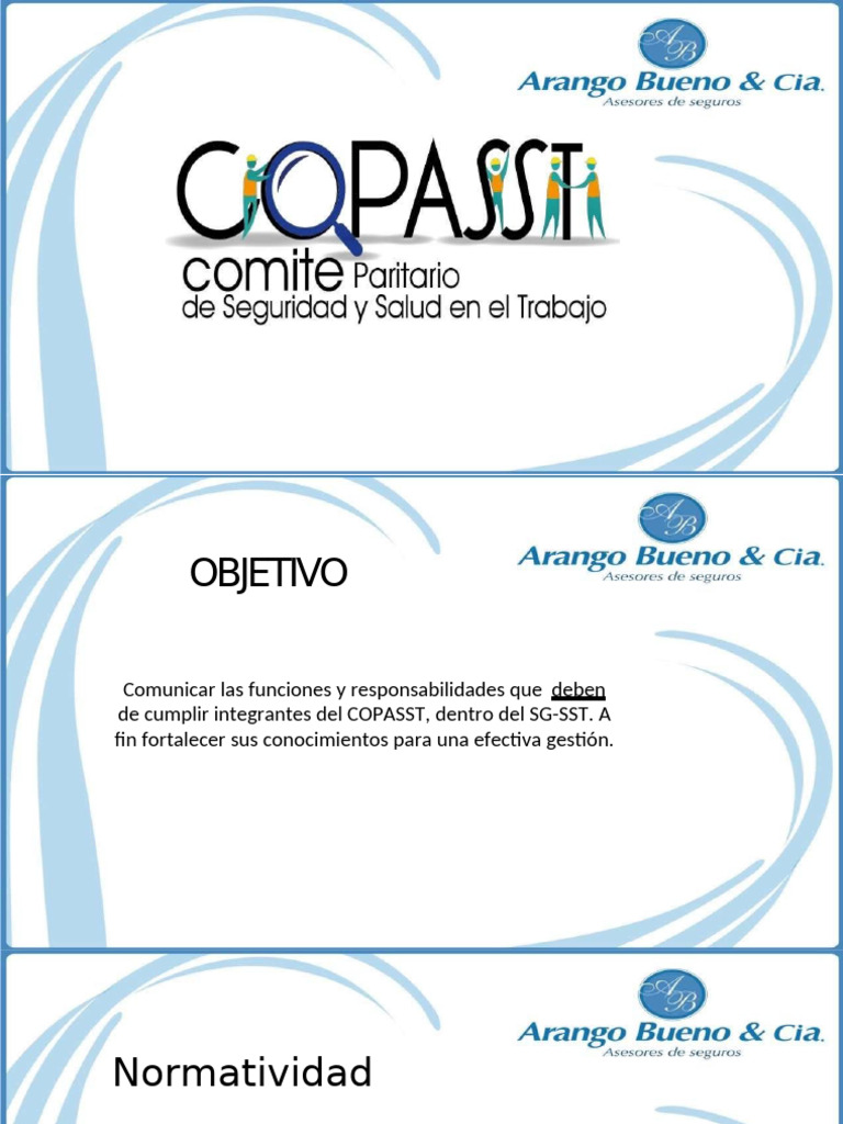 Funciones Del Copasst Pdf