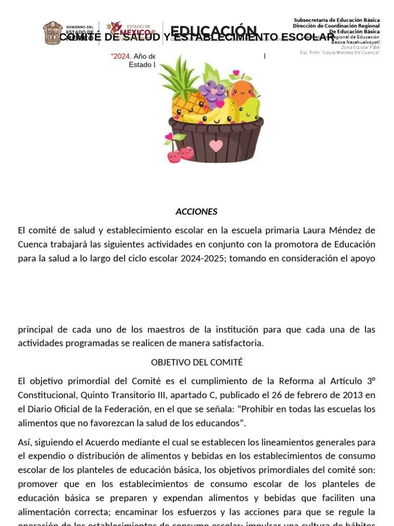 COMITE DE SALUD Y ESTABLECIMIENTO ESCOLAR 2024-2025 | PDF