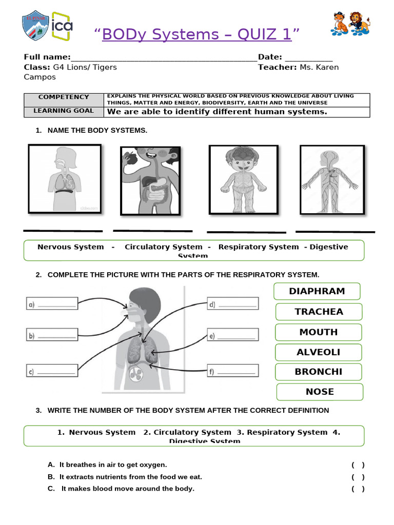Body Sytem - QUIZ 1 | PDF