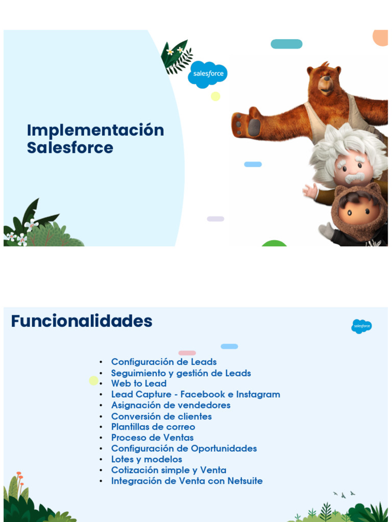 Salesforce Overview | PDF