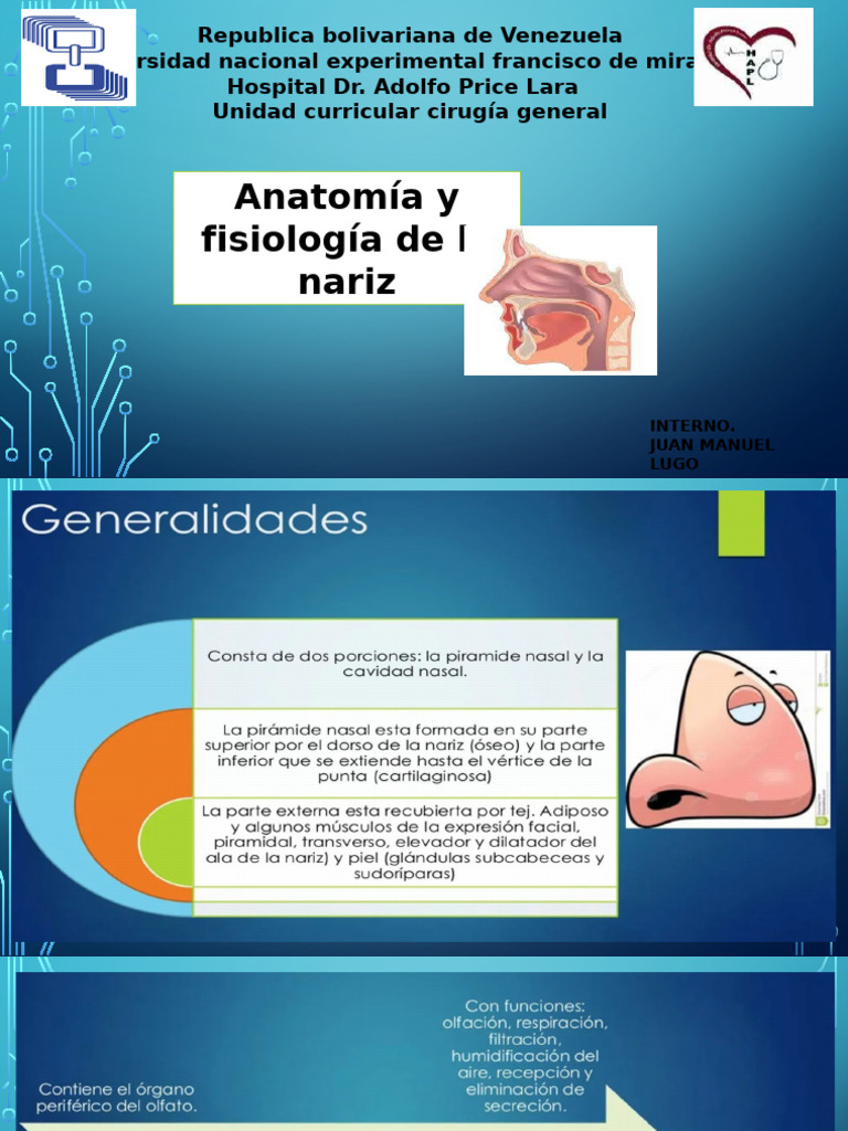 Anatomía y Fisiología Nariz | PDF