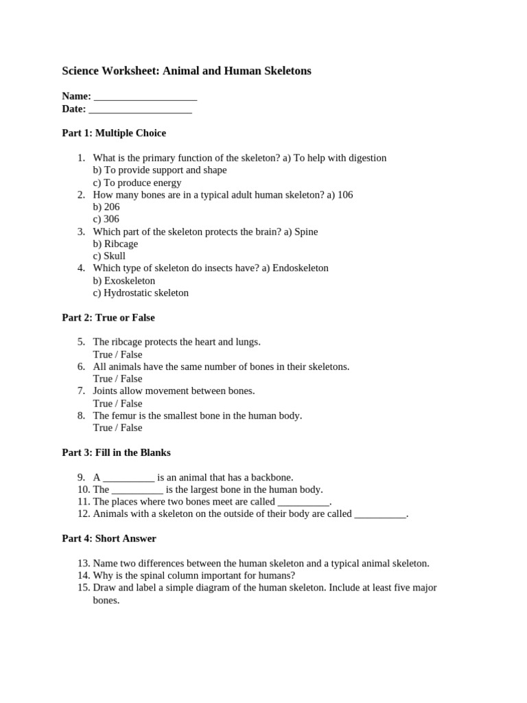 Science Worksheet | PDF