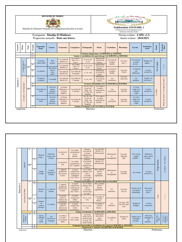 Planification Annuelle 4AP | PDF