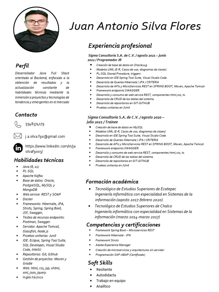 CV Silva Flores Juan Antonio | PDF