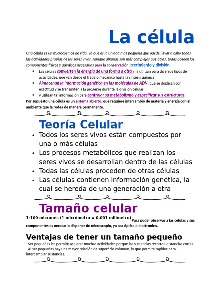 Composición de La Célula | PDF | Citoplasma | Biología Celular)