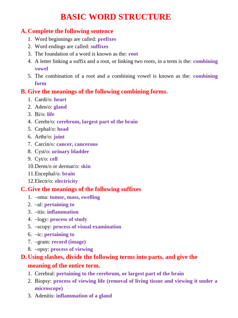 BASIC WORD STRUCTURE | PDF