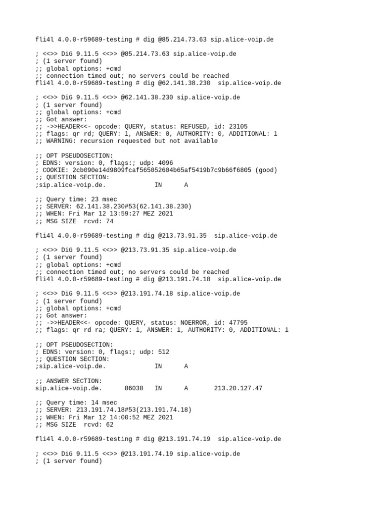 DNS-sip.alice-voip.de | PDF