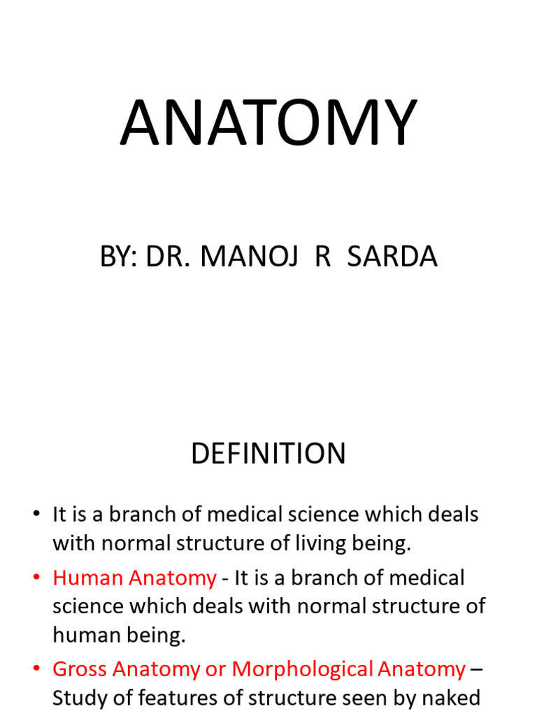 ANATOMY | PDF