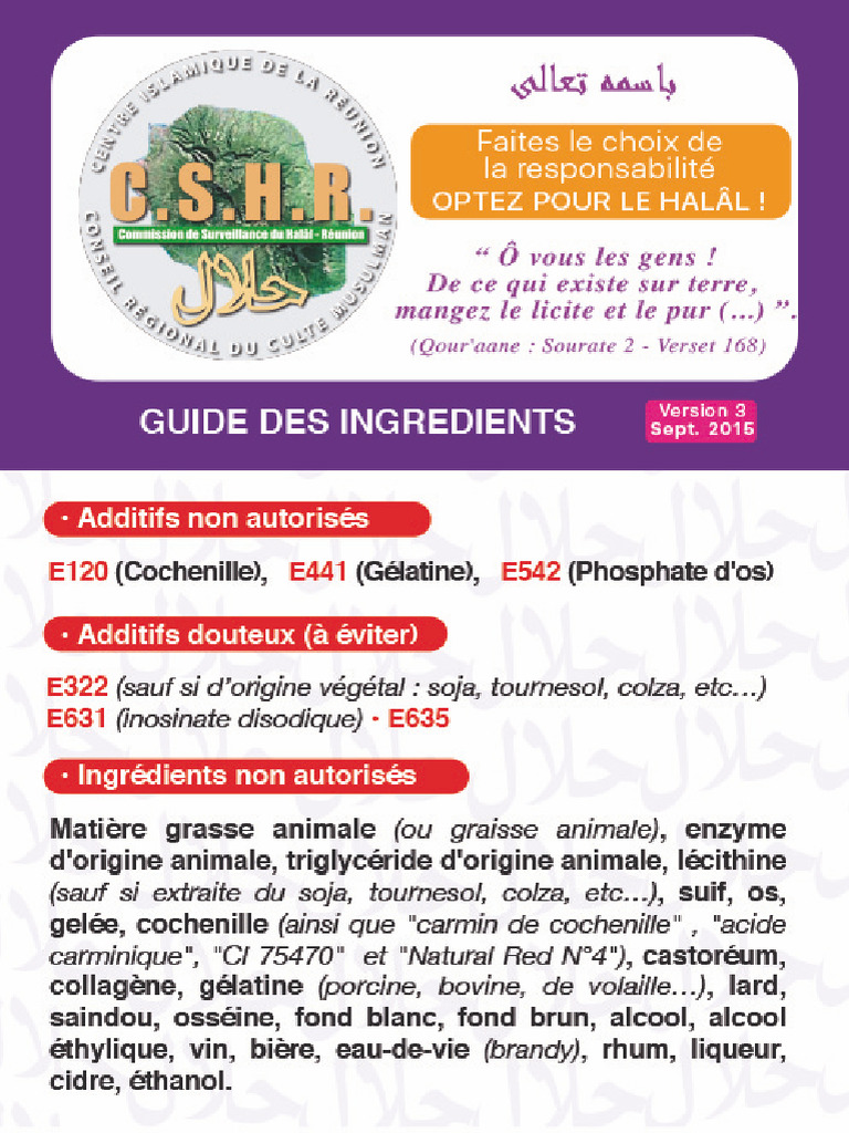 Halal Guide | PDF