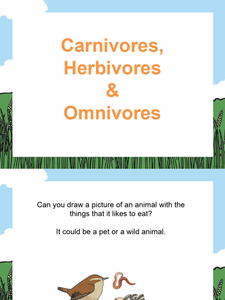 Lesson 9 - PPT - Intro To Carnivores, Herbivores and Omnivores | PDF