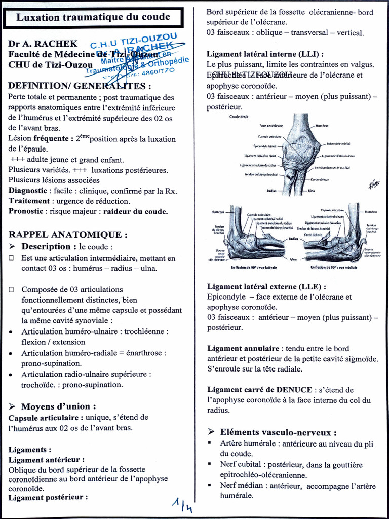 Luxation Traumatique Du Coude | PDF