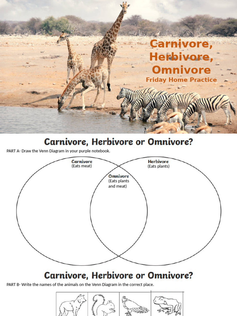 Friday Home Practice - Venn Diagram - Carnivores, Herbivores, Omnivores ...
