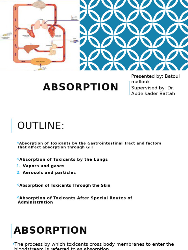 Absorption | PDF