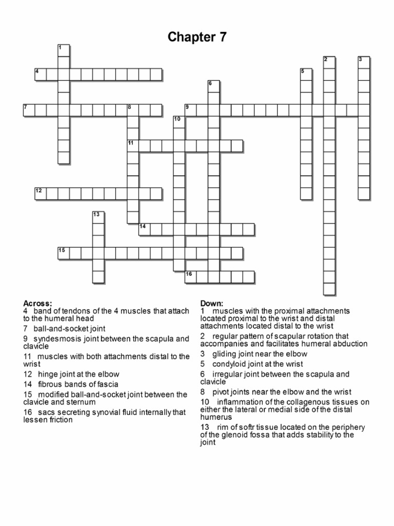 Hall Crossword Ch7 | PDF