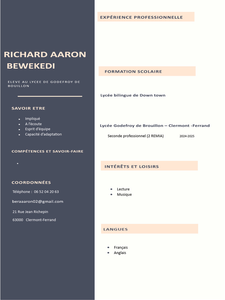 CV Aaron | PDF