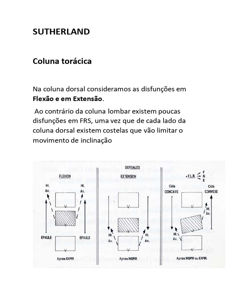 Sutherland 2 Ano | PDF