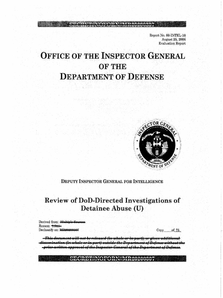 OIG Report Detainee | PDF