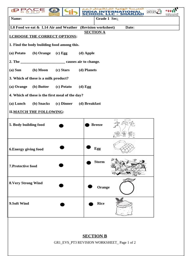 Pt3 Revision Worksheet | PDF