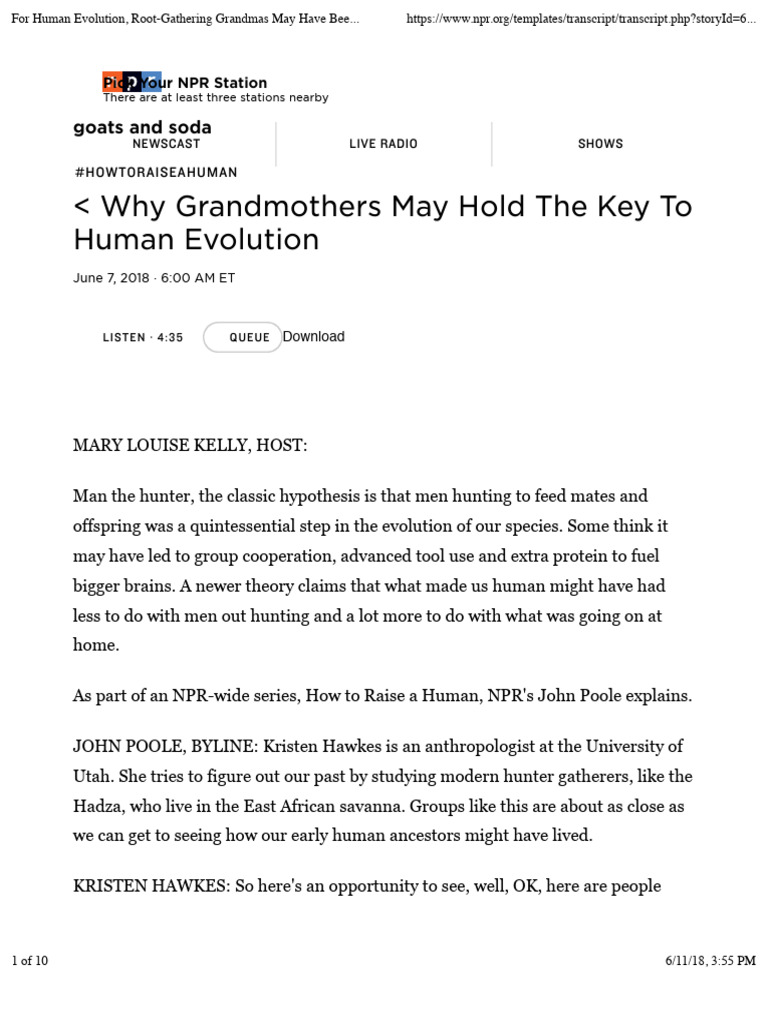 For Human Evolution, Root-Gathering Grandmas May Have Been More Important Than Man The Hunter ...