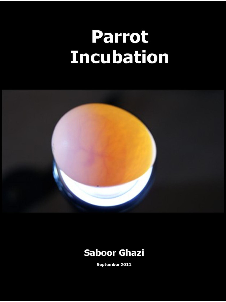 Parrot Incubation | PDF
