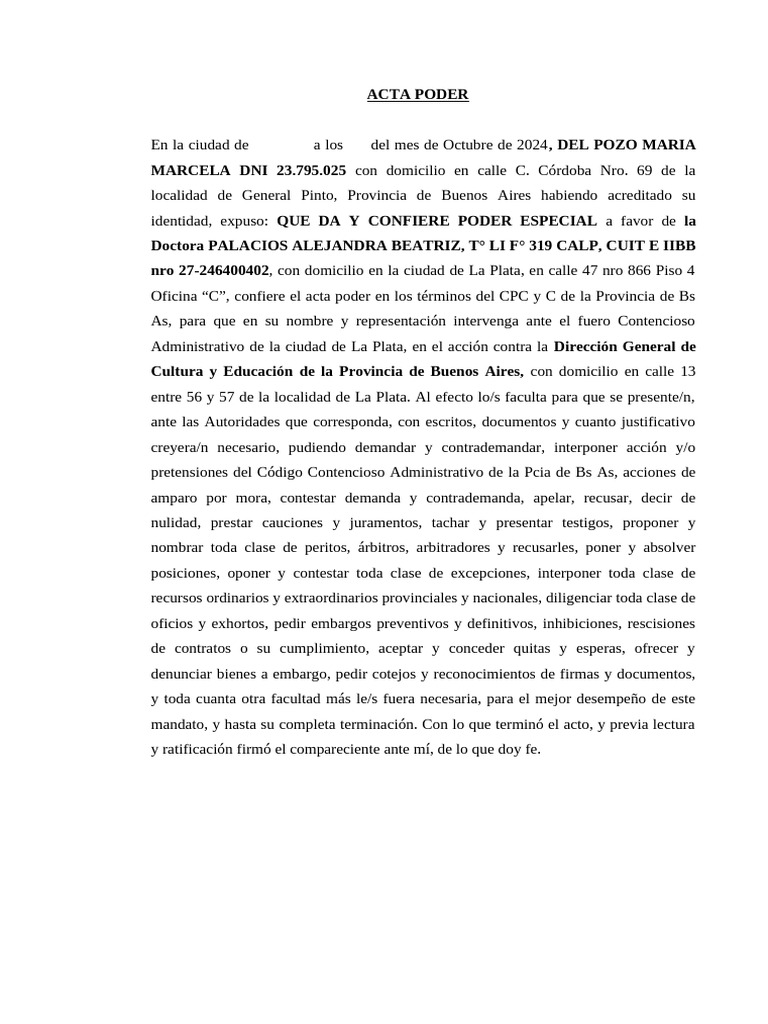 Acta Poder Subiza | PDF