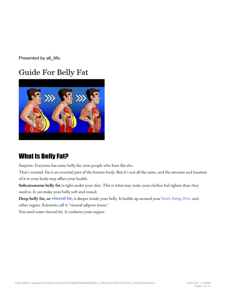 Belly Fat | PDF