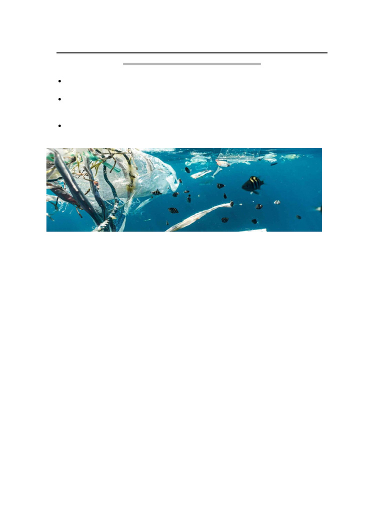 Microplastico y Salud | PDF