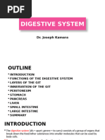 1-GIT Functional Anatomy of GIT - Dr. Gagare Dnyanesh | PDF | Human ...