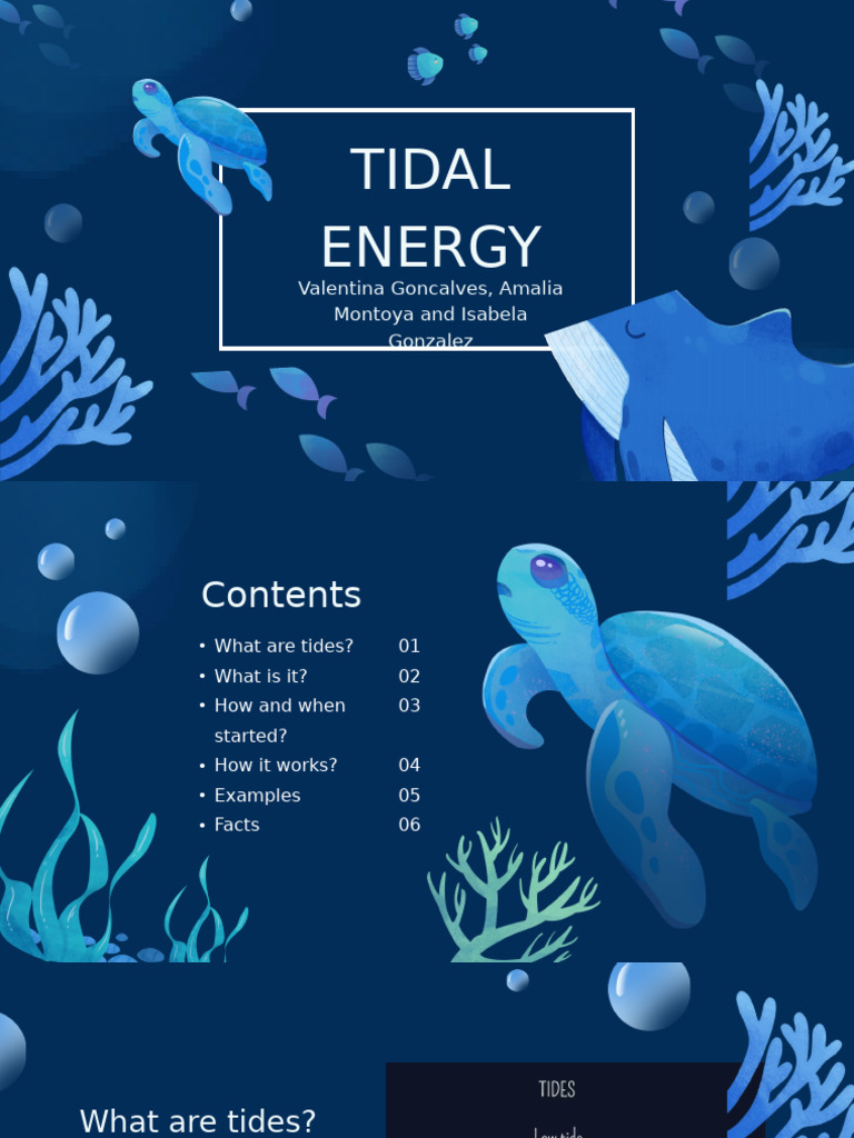 Tidal Energy | PDF