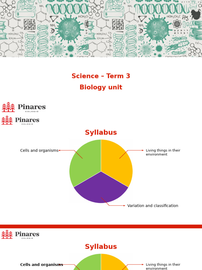 Biology 7th Grade | PDF