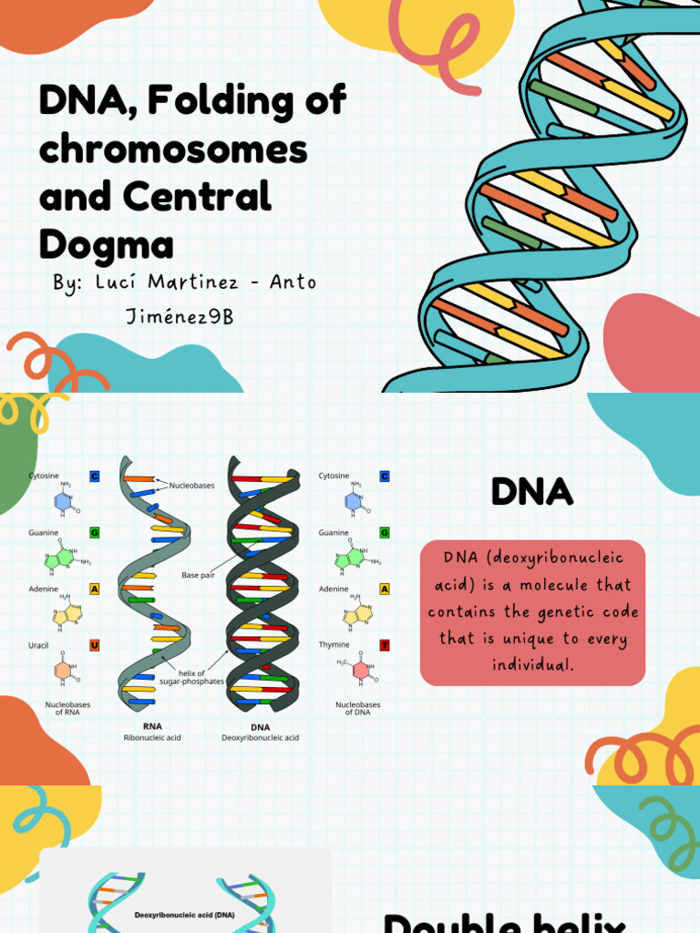 DNA Structure Biology Presentation in a Colorful Bold Style | PDF