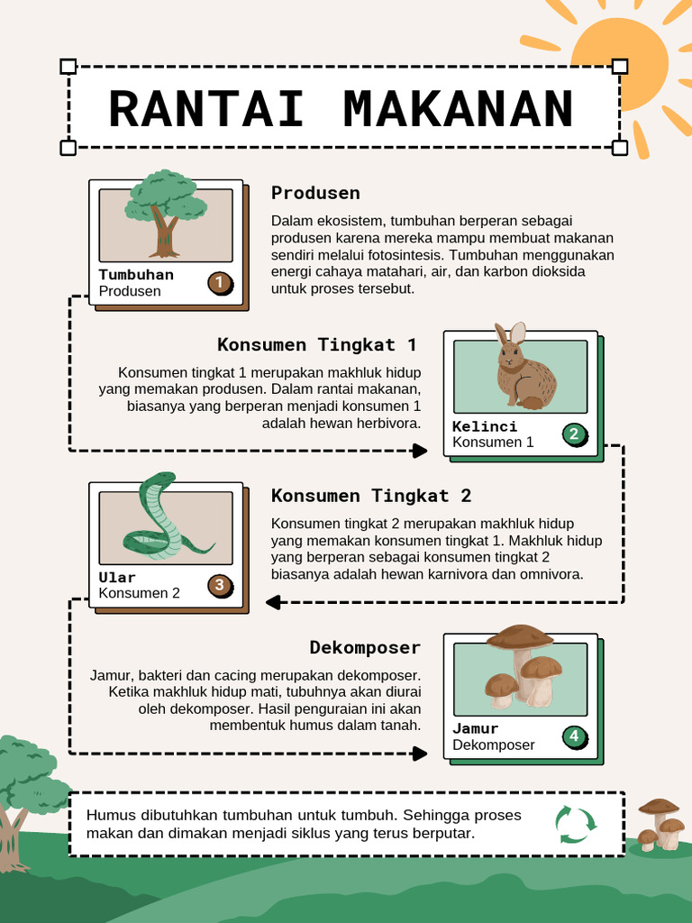 Rantai Makanan Poster Pendidikan IPAS Hijau Coklat Garis Ilustrasi Rapi ...