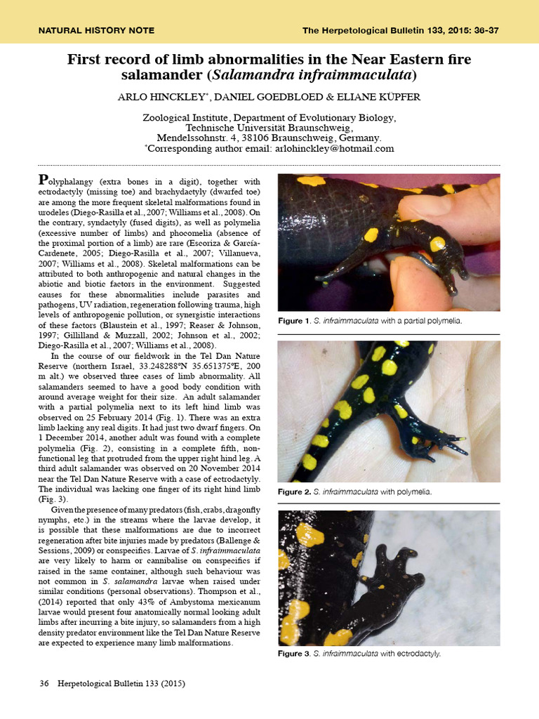 HB 133 10 | PDF