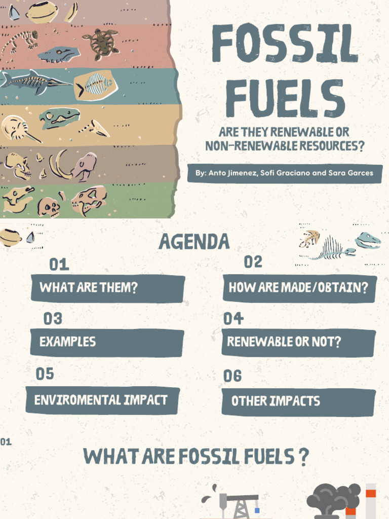 Fossil Fuels | PDF