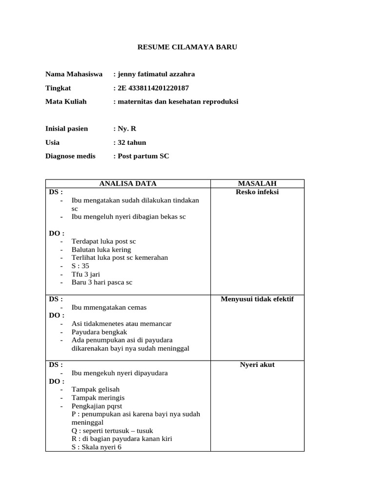 Resume Cilamaya Baru | PDF