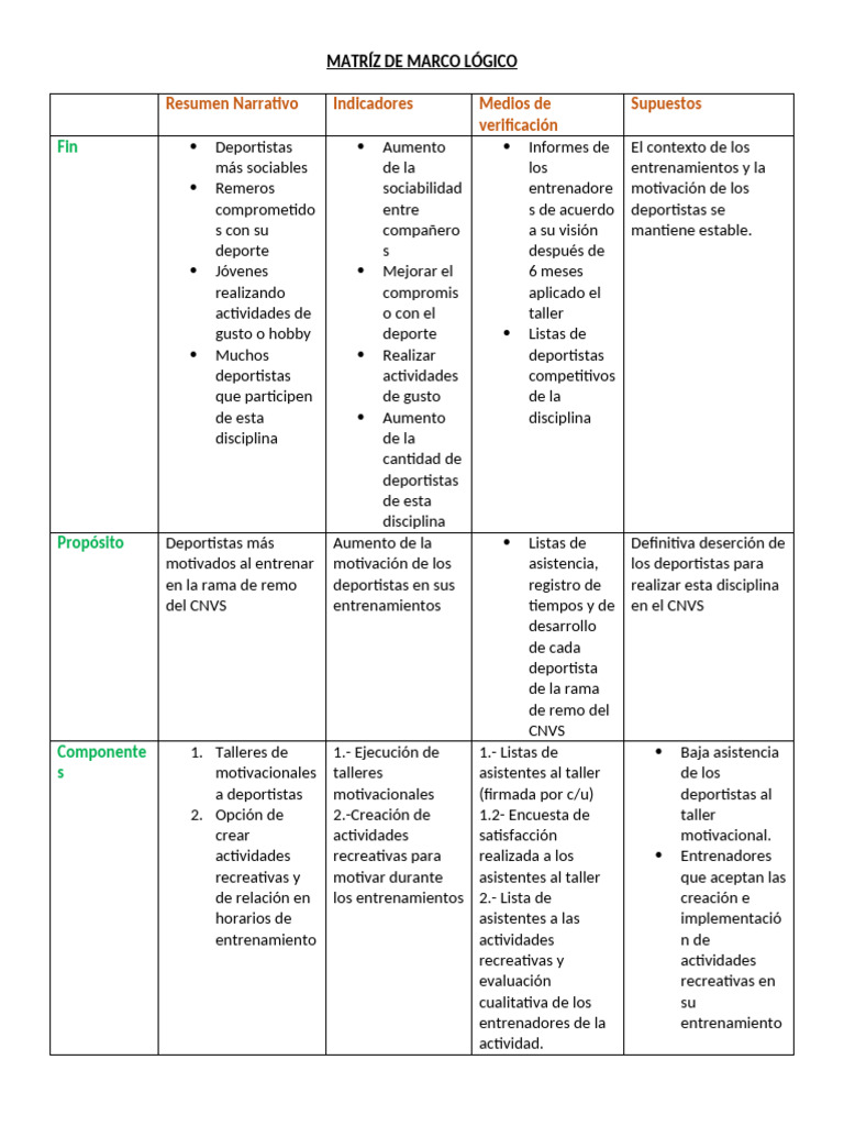 Matriz Marco Lógico | PDF