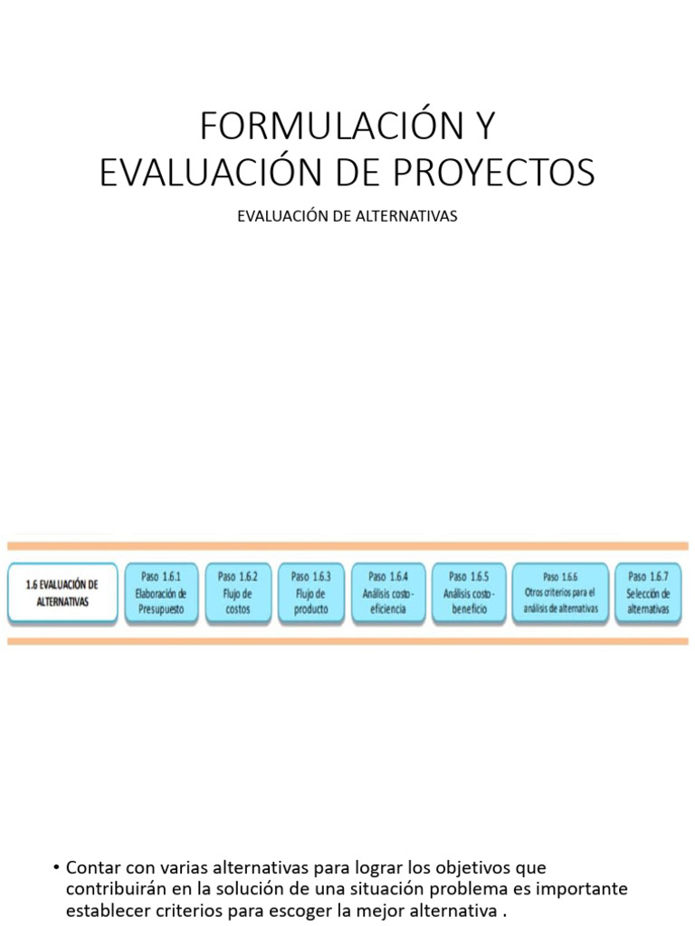 Formulación y Evaluación de Proyectos Evaluacion de Alternativas Def | PDF